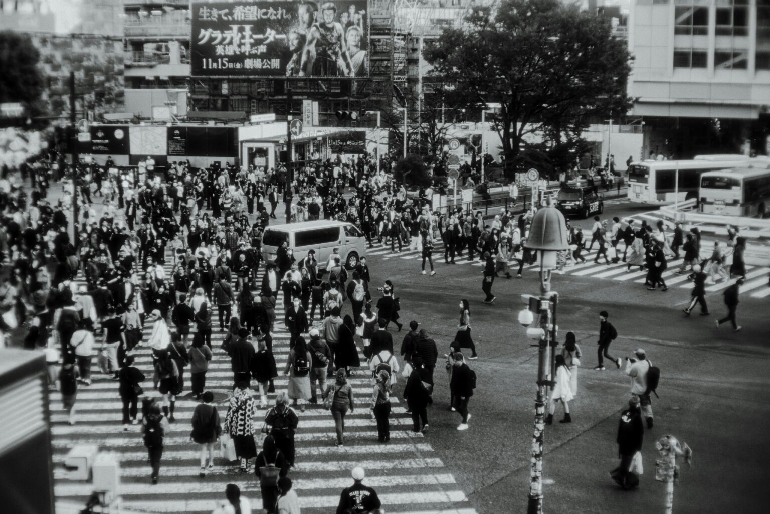Voices Through Color Art and Activism in the Chicano Movement